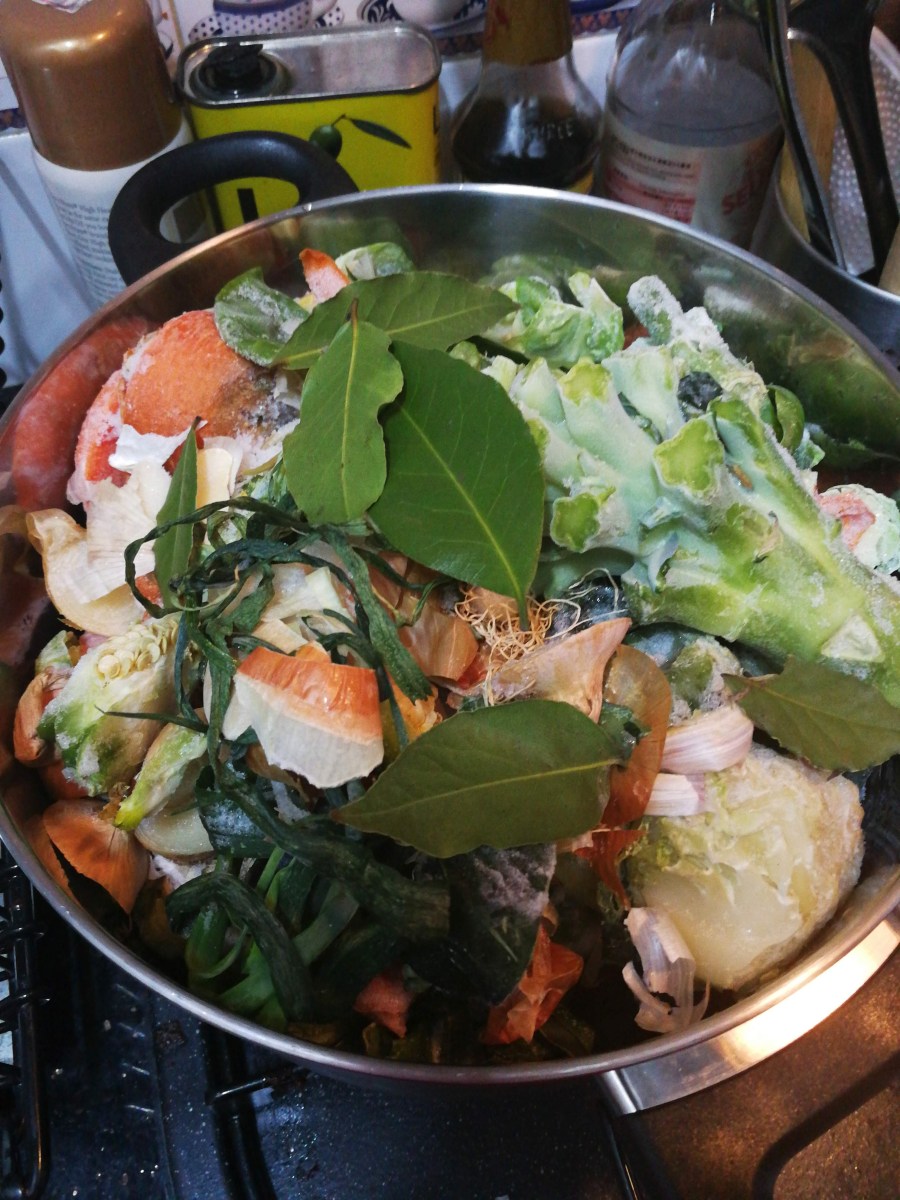 Homemade Stock – Jena's Tiny Kitchen